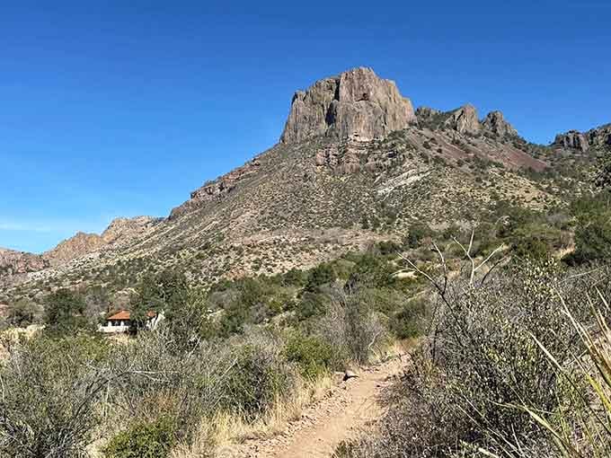 The trail welcomes you with classic desert scenery, prickly pear standing guard like nature's security system.