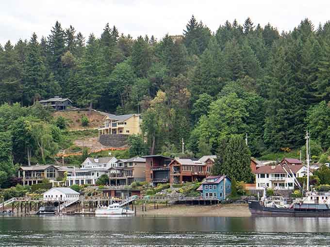 Houses climb the forested slopes like they're trying to get the best seat for the harbor's nightly show.
