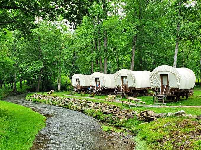 A row of covered wagons nestled in the forest, proving that pioneer life looks way better with modern plumbing nearby.