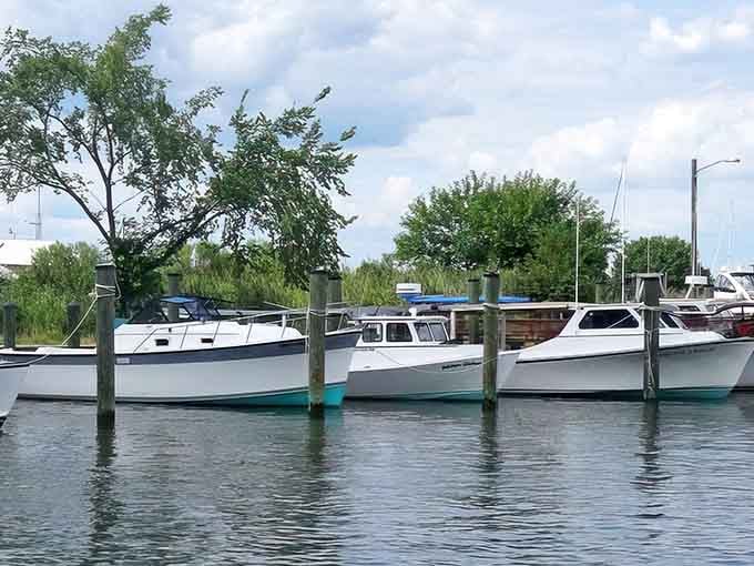 Water so calm it doubles as a mirror, boats lined up like they're posing for their LinkedIn profile photos.