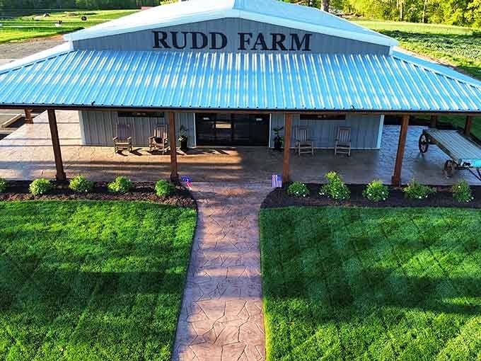 That blue metal roof and welcoming porch prove farms can have style while keeping things refreshingly unpretentious.