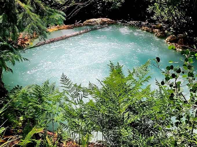 Nature's own infinity pool, minus the resort fees and overpriced cocktails with tiny umbrellas in them.
