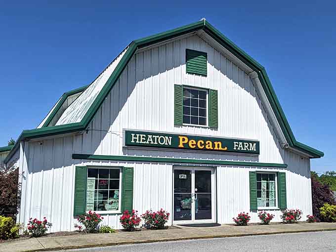 That classic white barn with green trim is your signal to exit the highway for something special.