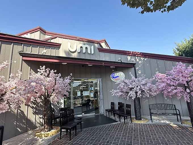 Don't judge this book by its strip mall cover, because what's happening inside will absolutely blow your mind.