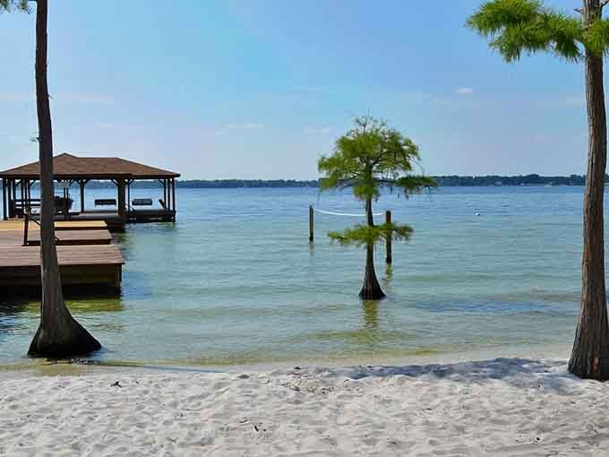 White sand meets aquamarine water while ancient cypress trees frame the view like nature's own postcard factory.