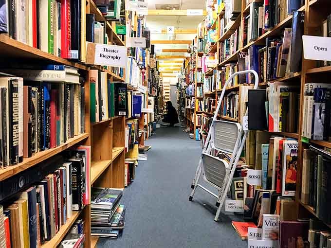 Those towering shelves packed with colorful spines create corridors of pure literary possibility stretching into infinity.