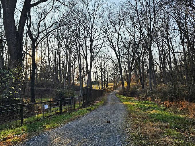 Stony paths that stretch forever, proving Maryland's got more than just crabcakes and the Chesapeake to brag about.