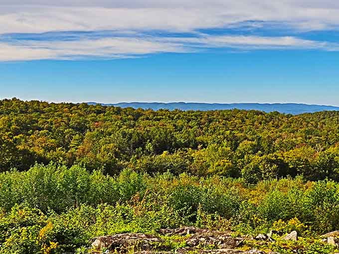Rolling green canopy stretching to distant mountains, proof that Massachusetts keeps its best views surprisingly close to home.