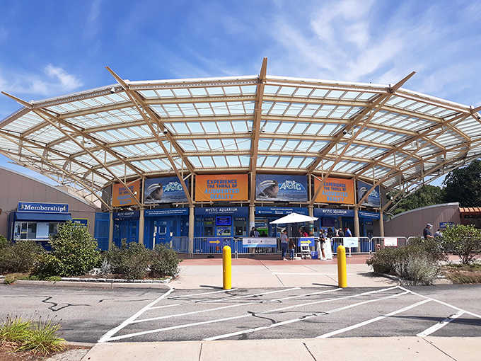That modern entrance canopy isn't just for show &ndash; it's your gateway to an underwater world that'll blow your mind.