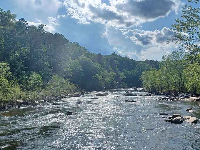 Rivers this pristine make you wonder why anyone bothers with expensive water filters at home.