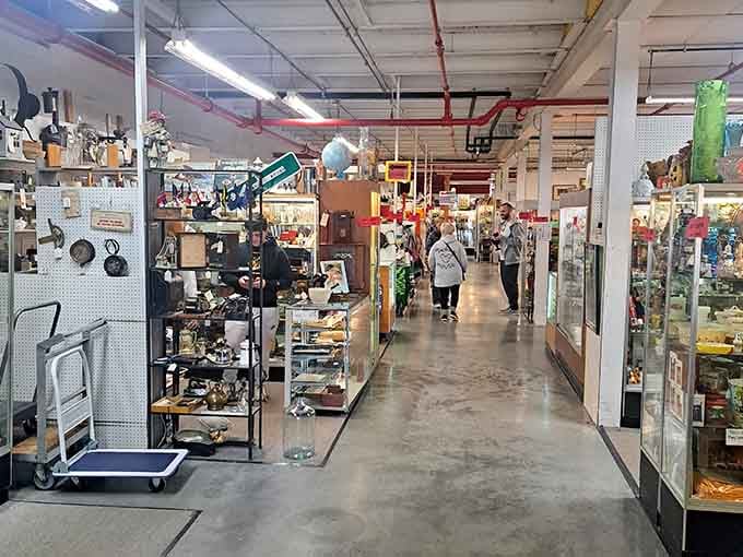 The unassuming exterior hides a treasure trove that'll make your inner collector do a happy dance.