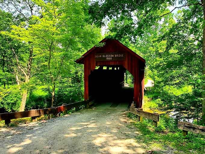 Dappled sunlight through summer leaves makes this bridge look like a postcard that actually exists.
