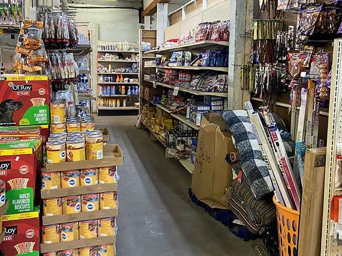 The grocery aisles stretch out like a treasure map where X marks the spot for savings on every shelf.