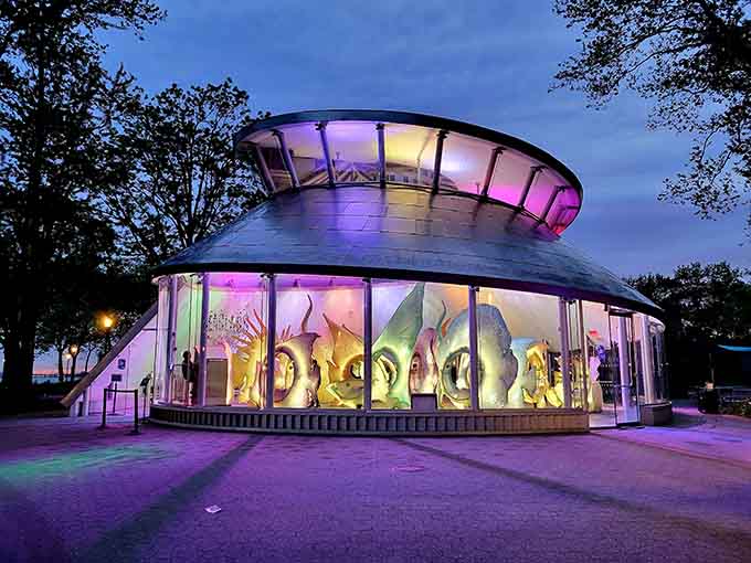 This glowing nautilus pavilion at twilight looks like a spaceship designed by someone who really loves aquariums.