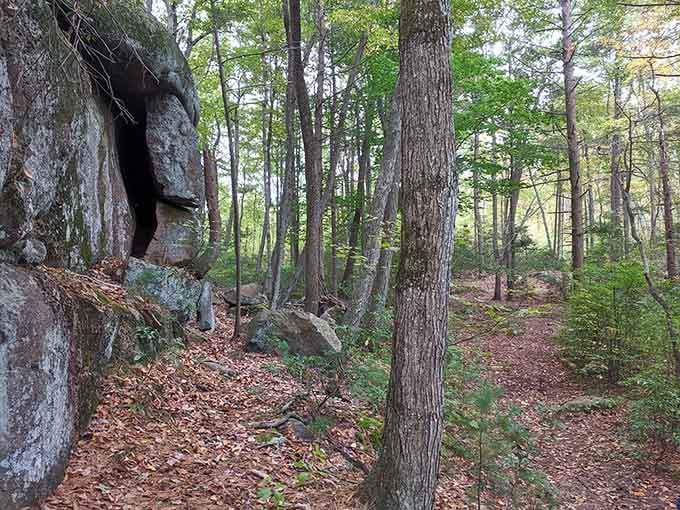 Wander through the peaceful, leafy trails of Cockaponset State Forest, where towering trees and hidden rock formations await your discovery.