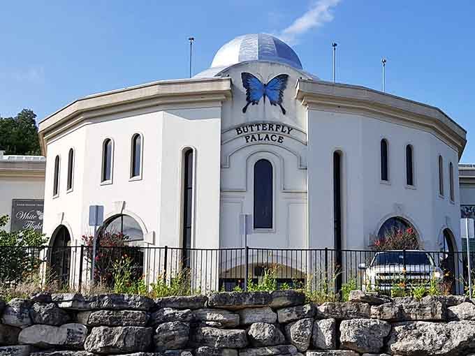 That giant blue butterfly perched atop the dome isn't subtle, and honestly, we wouldn't want it any other way.