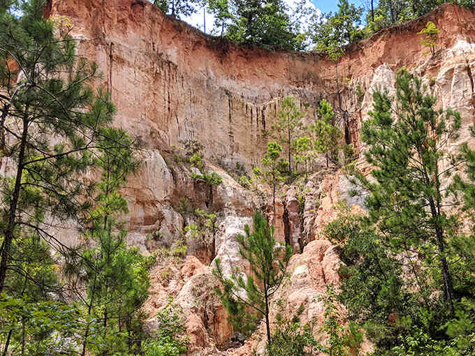 Those striations tell stories millions of years old, while the trees whisper about Georgia's most colorful geological surprise.