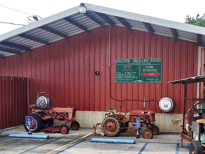 Vintage tractors stand guard outside Hillside Orchard Farms, promising authentic farm experiences await inside those doors.