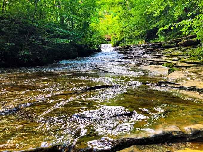 Sometimes the most magical places hide behind the most unassuming entrances in small-town Kentucky.