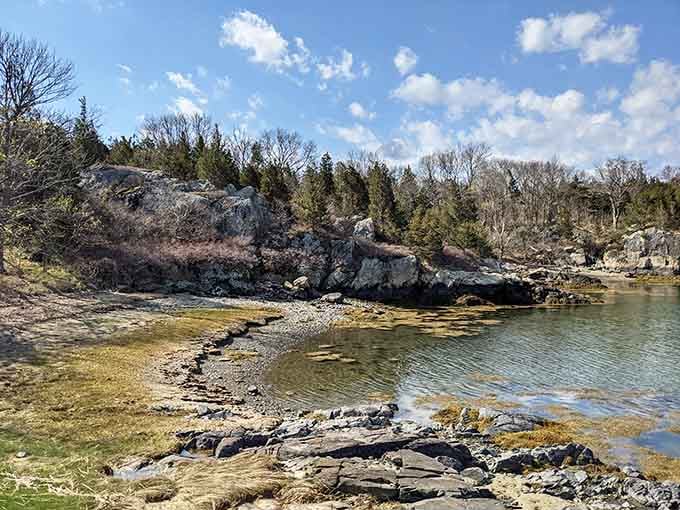 Rocky shorelines where New England's geological history meets the present, creating tide pools that fascinate kids and adults equally.