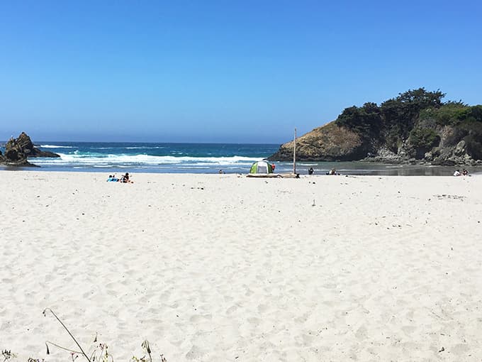 That jug handle cove isn't just a clever name &ndash; it's the Pacific Ocean showing off its artistic side.