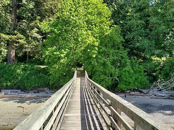 A wooden boardwalk leads adventurers from the beach into lush forest, where old-growth trees and ferns create an enchanting Pacific Northwest landscape.