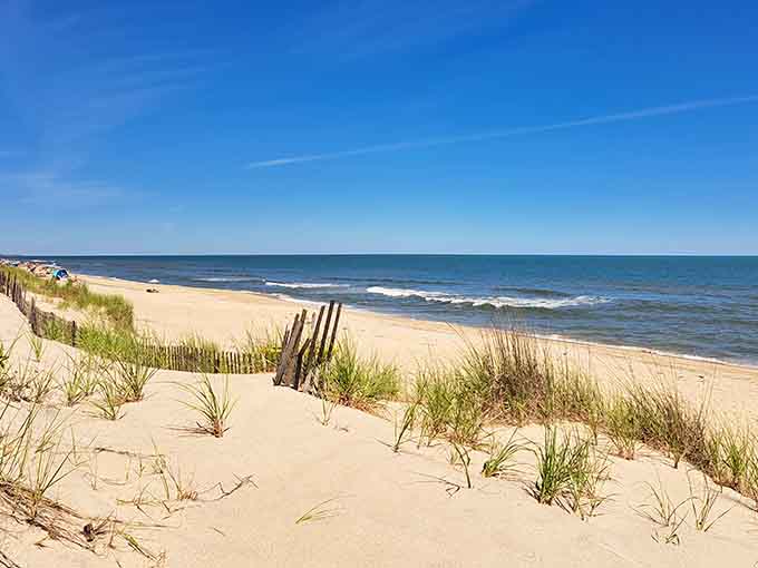 That pristine shoreline stretching into the distance proves paradise doesn't require a passport or tropical coordinates.