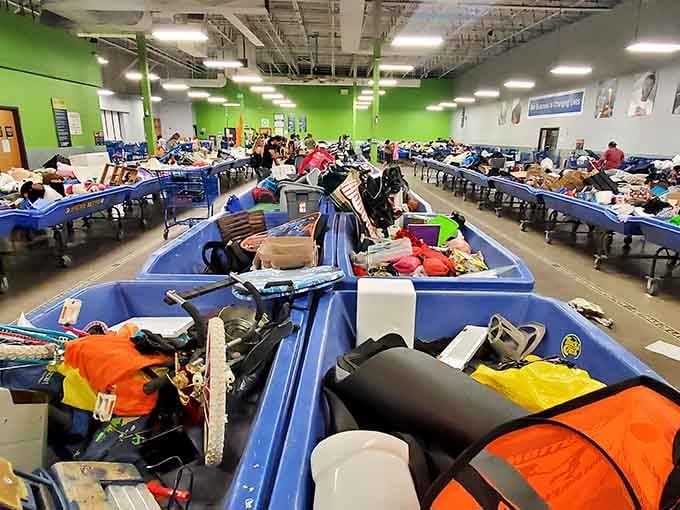 Those blue bins stretch like a treasure hunter's dream buffet, where every dive could uncover your next favorite thing.