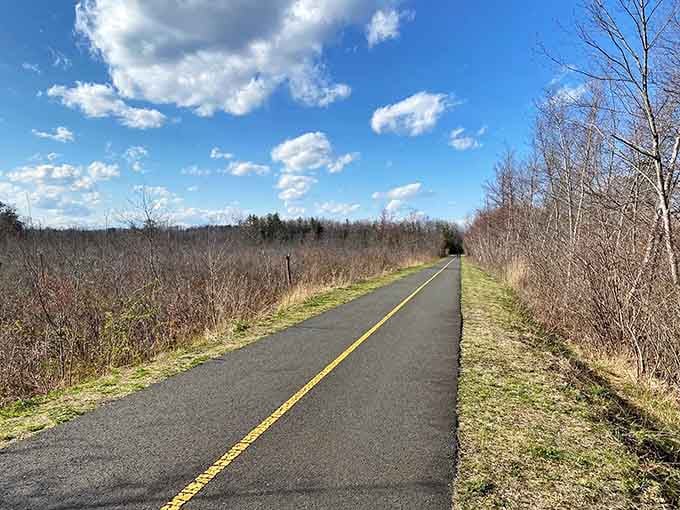 That yellow line isn't just for show; it's your personal highway to adventure minus the traffic jams.