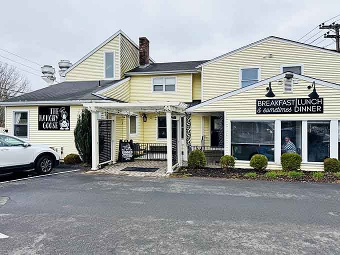 That yellow house isn't hiding anything except the best meal you'll have all week.