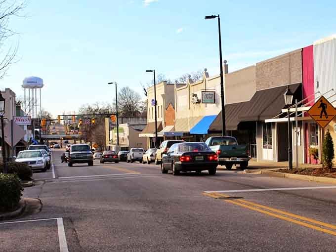 Downtown Greenville proves that small-town charm isn't extinct, just patiently waiting between the water tower and those perfectly angled parking spaces.