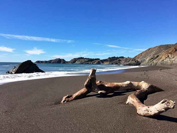 Nature's driftwood sculpture meets volcanic sand in a scene that looks straight out of a sci-fi western.