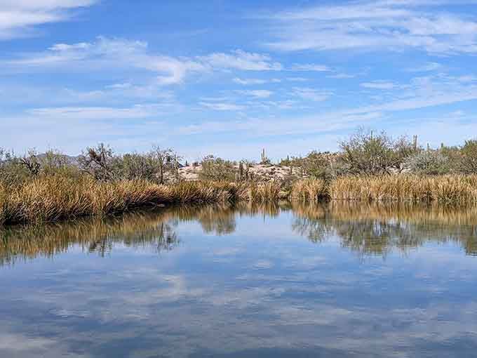Crystal clear waters in the middle of the desert? Mother Nature's showing off again with her impossible magic tricks.