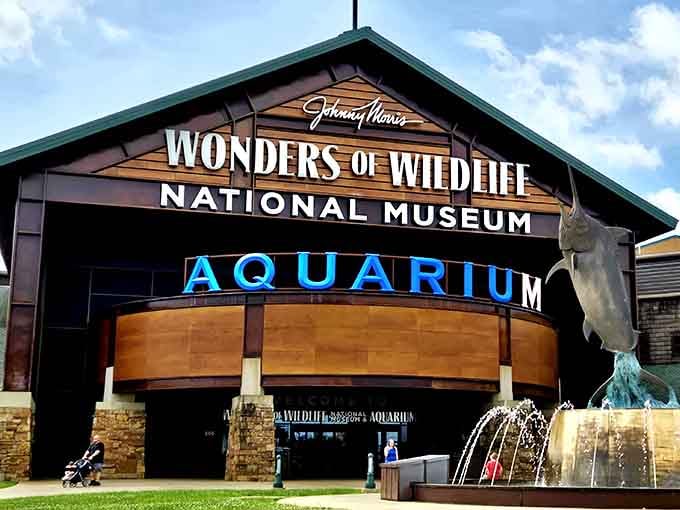 The entrance alone tells you this isn't your average roadside attraction with a few dusty displays.