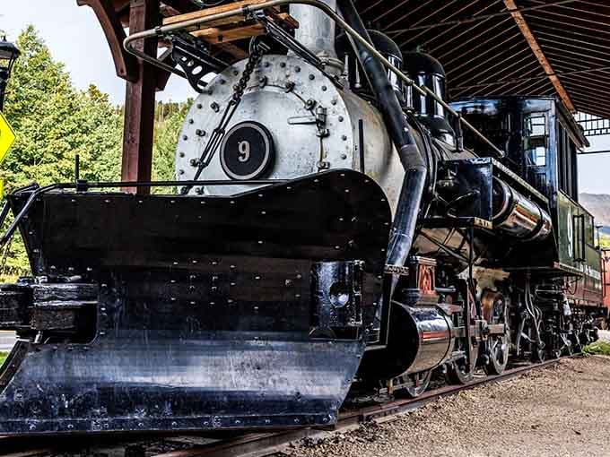 This gleaming locomotive stands ready to transport you back to Colorado's mining glory days, minus the actual soot.
