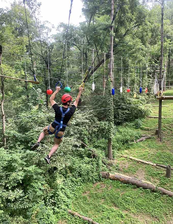 That view stretching to the greenery makes you forget you're clipped to a cable, soaring above like a very cautious eagle.