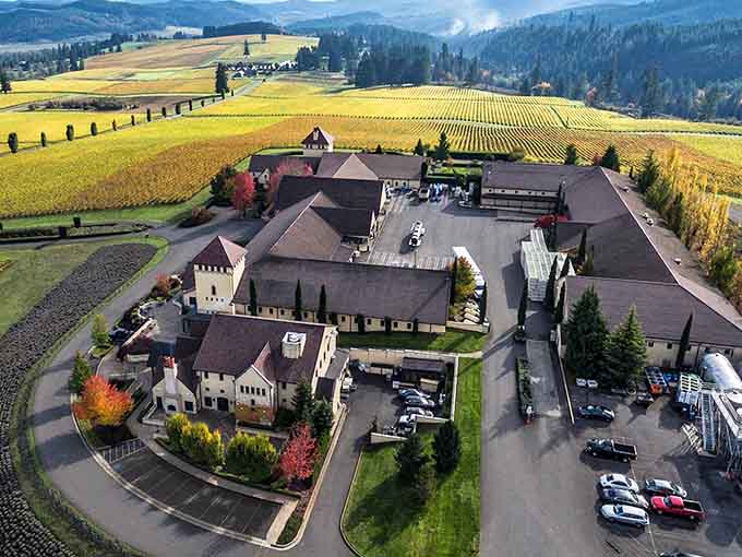 From above, this hilltop estate reveals its full glory: vineyards stretching like golden ribbons across the valley below.