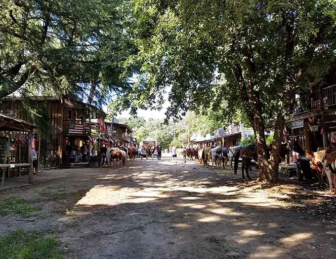 Dappled sunlight on a dirt street lined with horses instead of SUVs is exactly the kind of therapy nobody knew they needed.