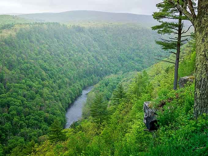 When they call it Pennsylvania's Grand Canyon, they're not just being cute with the marketing brochures.