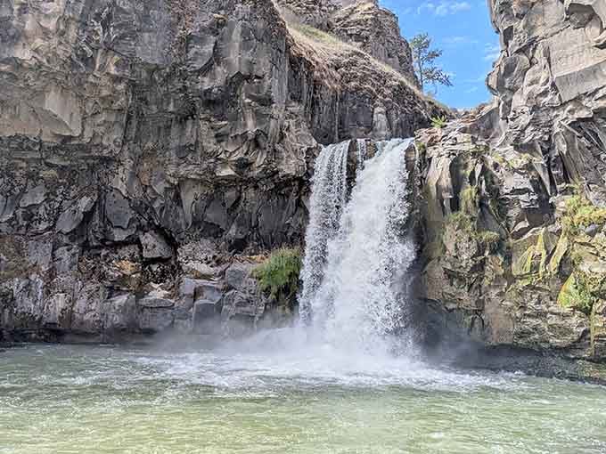 Two tiers of pure Oregon magic tumbling over ancient basalt like nature's own grand staircase.
