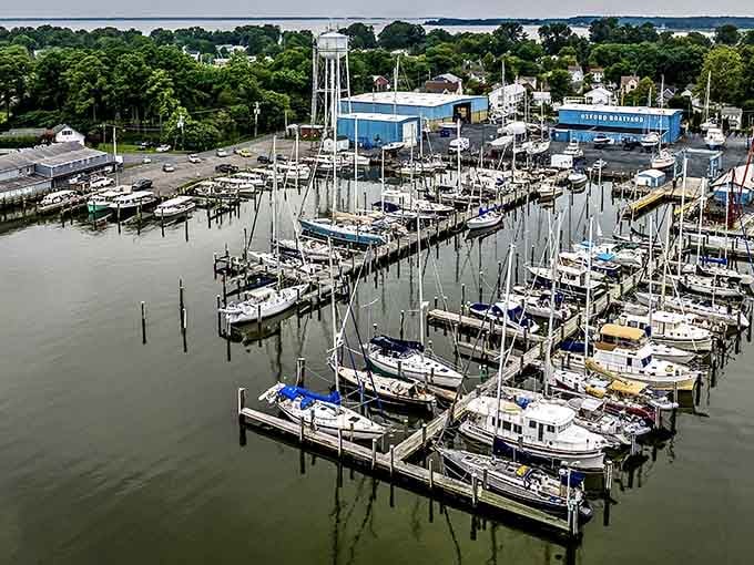 The marina stretches out like a postcard that forgot to exaggerate, with boats lined up prettier than a parking lot ever dreamed.