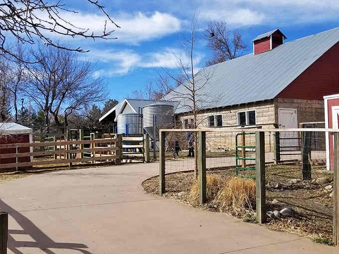 1. play with goats and ponies at this little known colorado farm for an adorable adventure