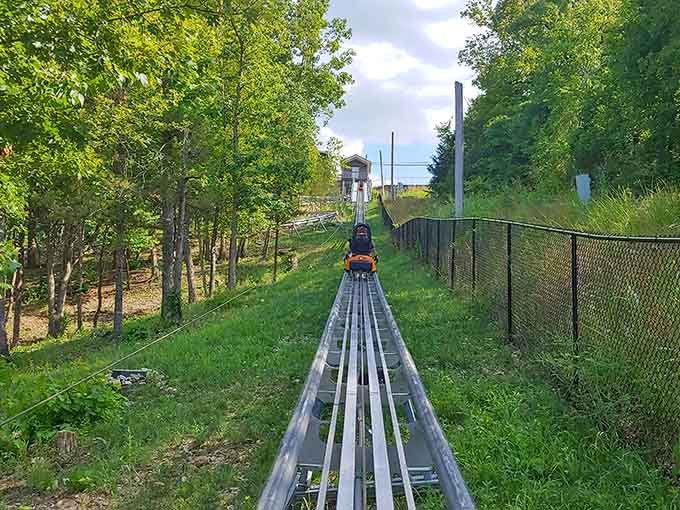 This isn't your grandmother's scenic overlook, unless your grandmother happens to love speed and thrills.