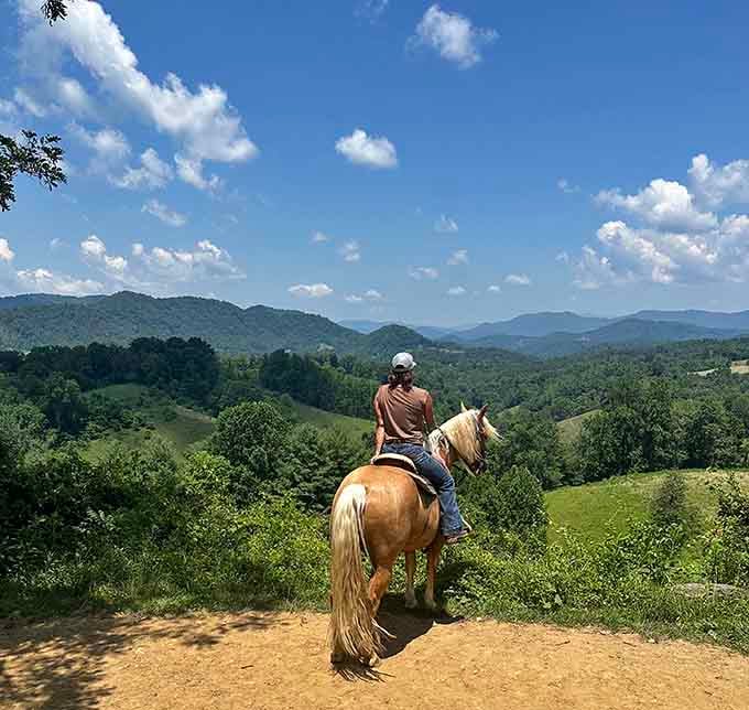 Riders pause to soak in panoramic views that no highway overlook could ever match, worth every saddle-sore moment.