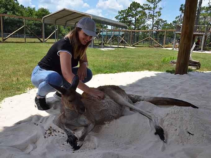 Getting up close with a relaxed kangaroo is just another Tuesday at this incredible Orlando animal ranch experience.