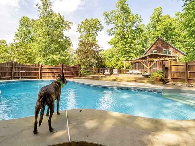 Your vacation rental comes with the best neighbors you've ever had—and they never complain about noise.