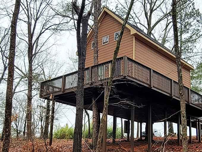 Your childhood treehouse dreams just got a serious upgrade, complete with actual structural integrity and everything.