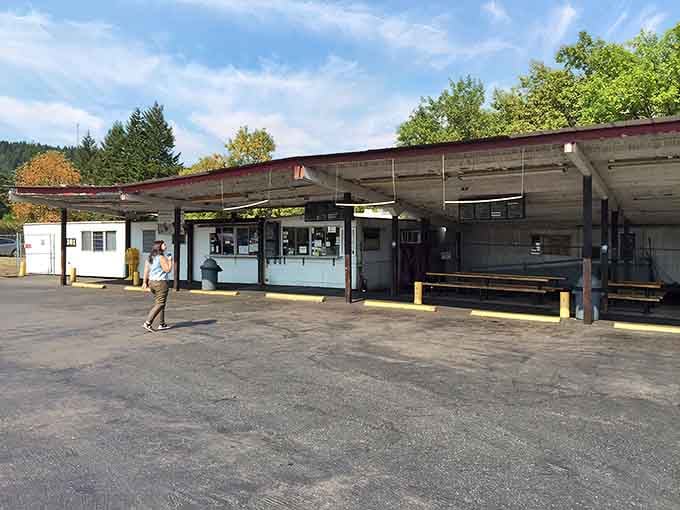 Wide-open spaces under a vintage canopy where time slows down and the only rush is deciding between onion rings or tater tots.