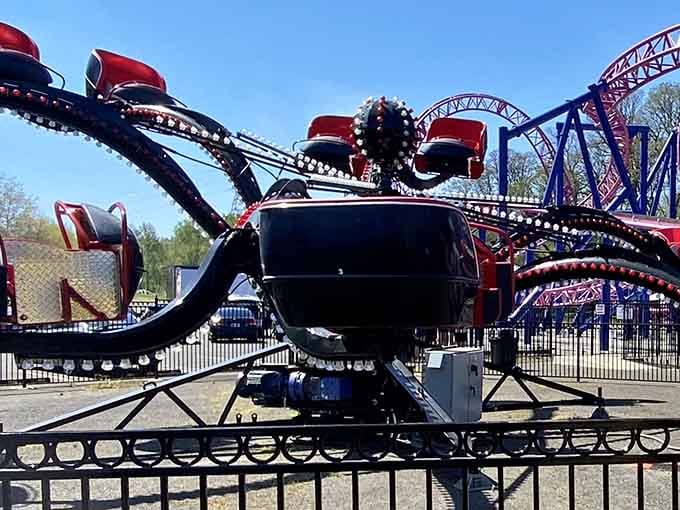 Classic amusement park rides spinning against blue skies and towering trees, just like summer should look.