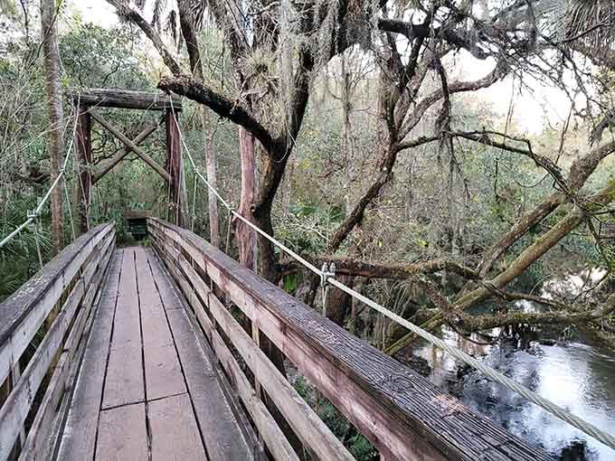 This suspension bridge sways gently over tea-colored waters, proving Florida does have hills and honest-to-goodness adventure trails.